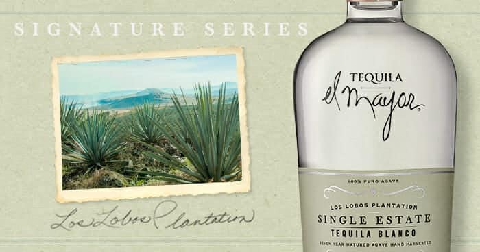 Introducing The El Mayor Signature Series | El Mayor
